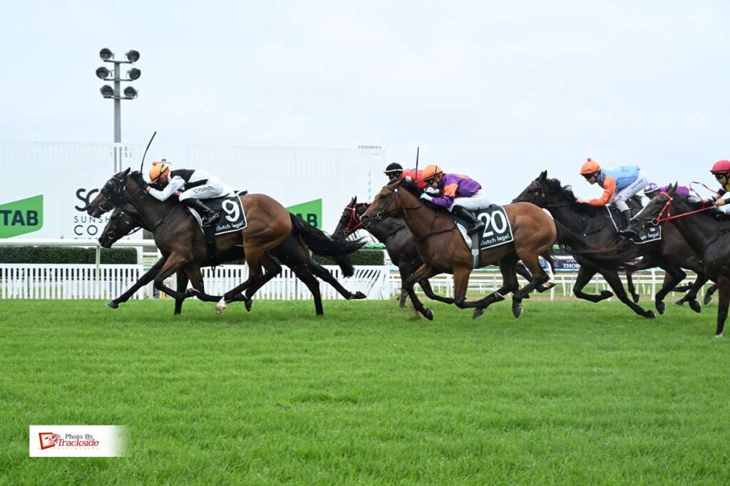 Italian Dancer delivers at Coast as patience reaps rewards - Kendrick ...